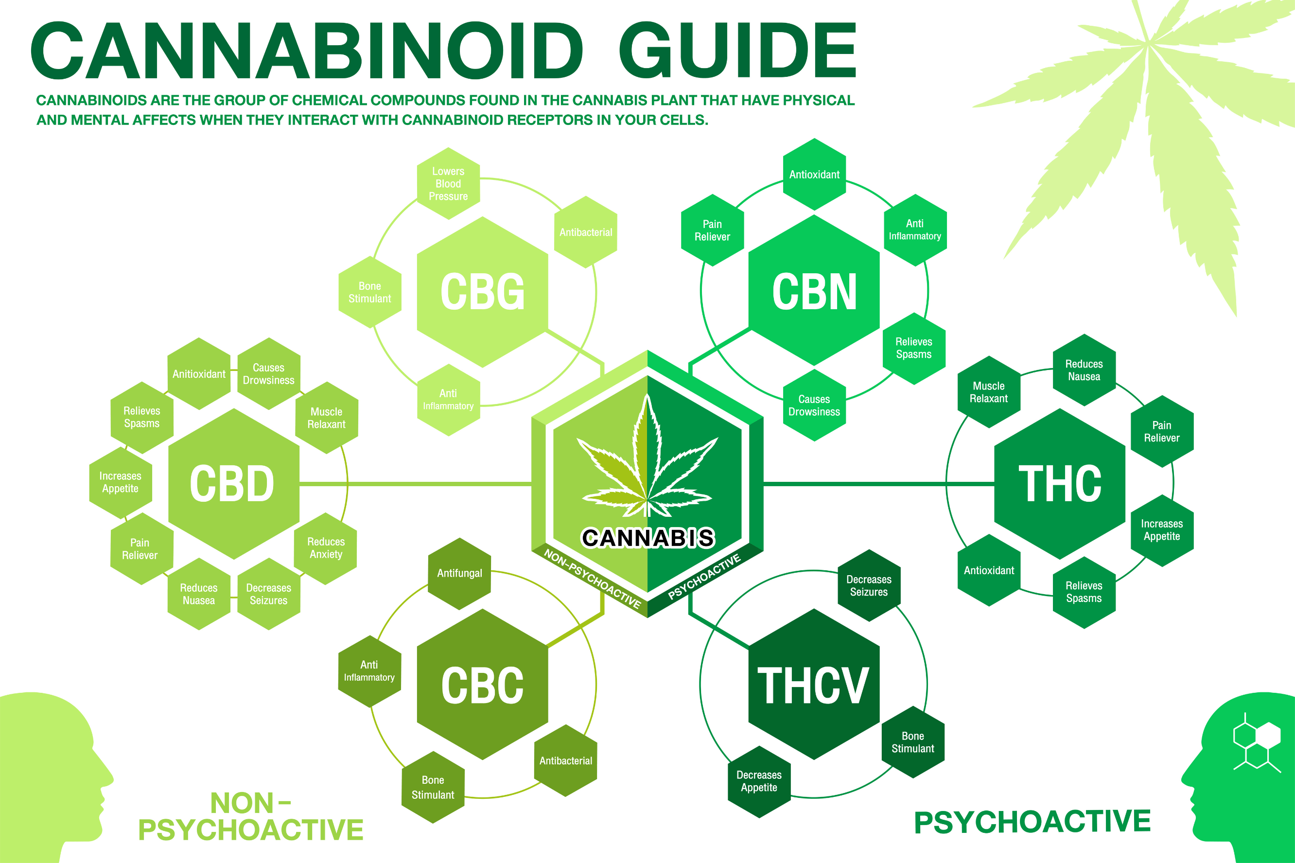What is CBC Cannabinoid? CBC vs CBD Differences Explained