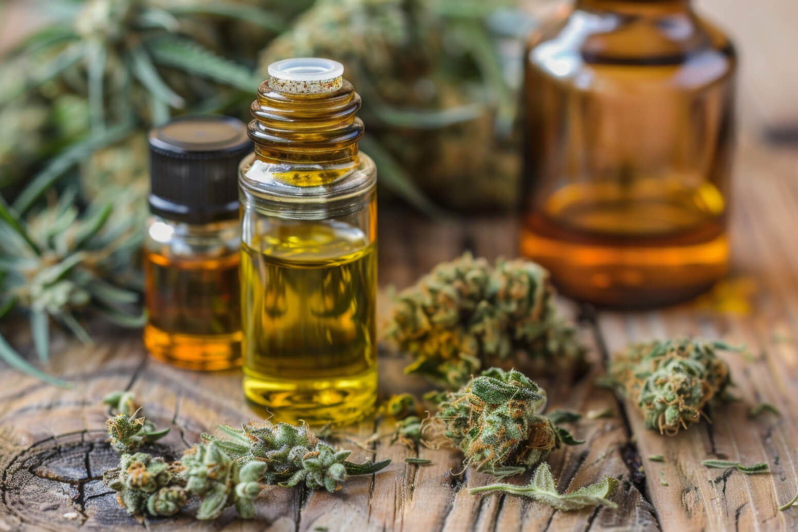 What Is Hash Oil? Guide to Hashish Oil and Its Uses